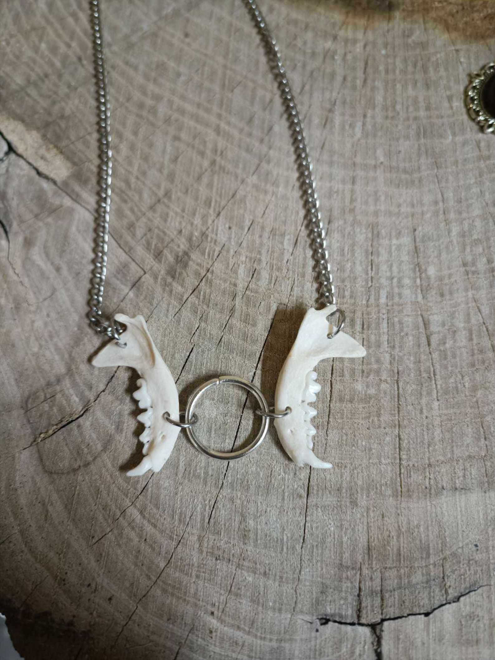 Gothic Bone & Mink Jaw Necklace - Etsy