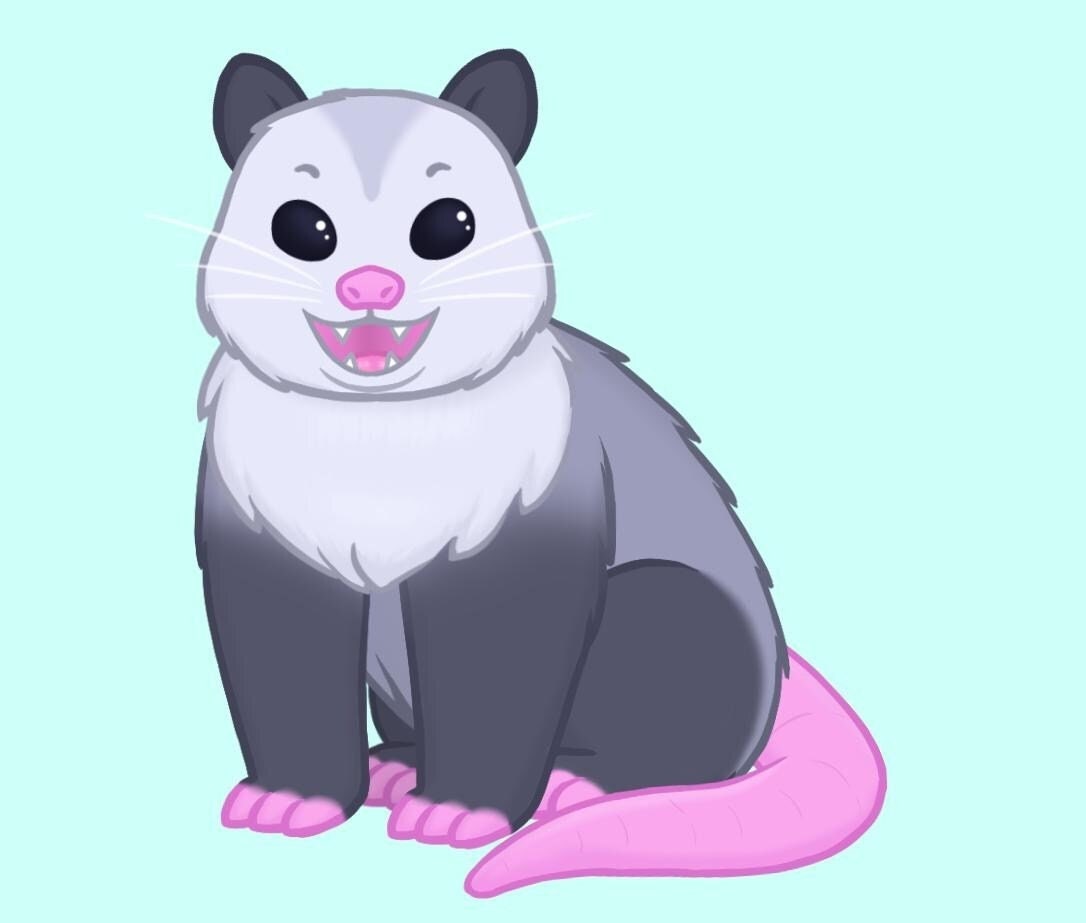 Opossum Vtuber - 2D Vtuber - Fully Rigged - Etsy