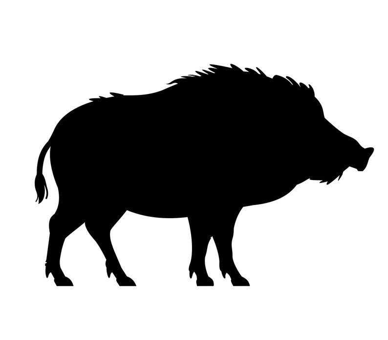 Wild Boar Svg Wild Hog Svg Wild Pig Forest Animal Svg Png | Etsy
