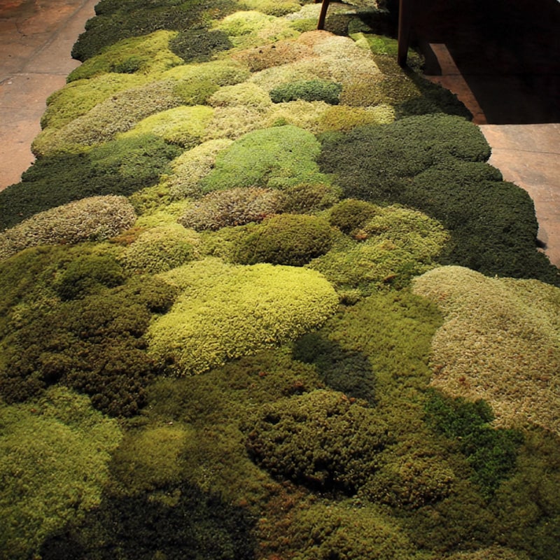 Moss Botanical Rug - Etsy