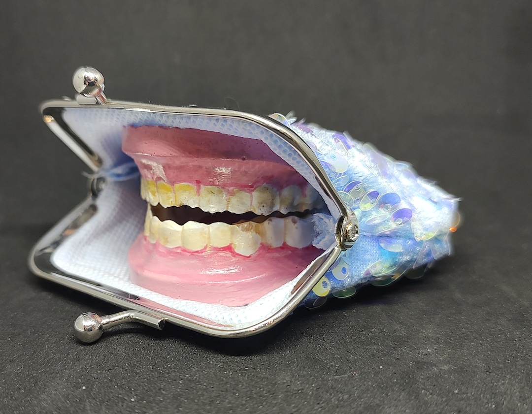 Toothy Coin Purse - Etsy