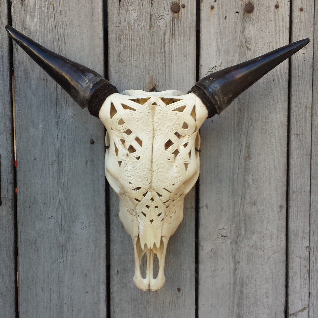 BU-17-R-12-NA / Real Cattle Skull, With Thor's Hammer as Carving, Cow ...