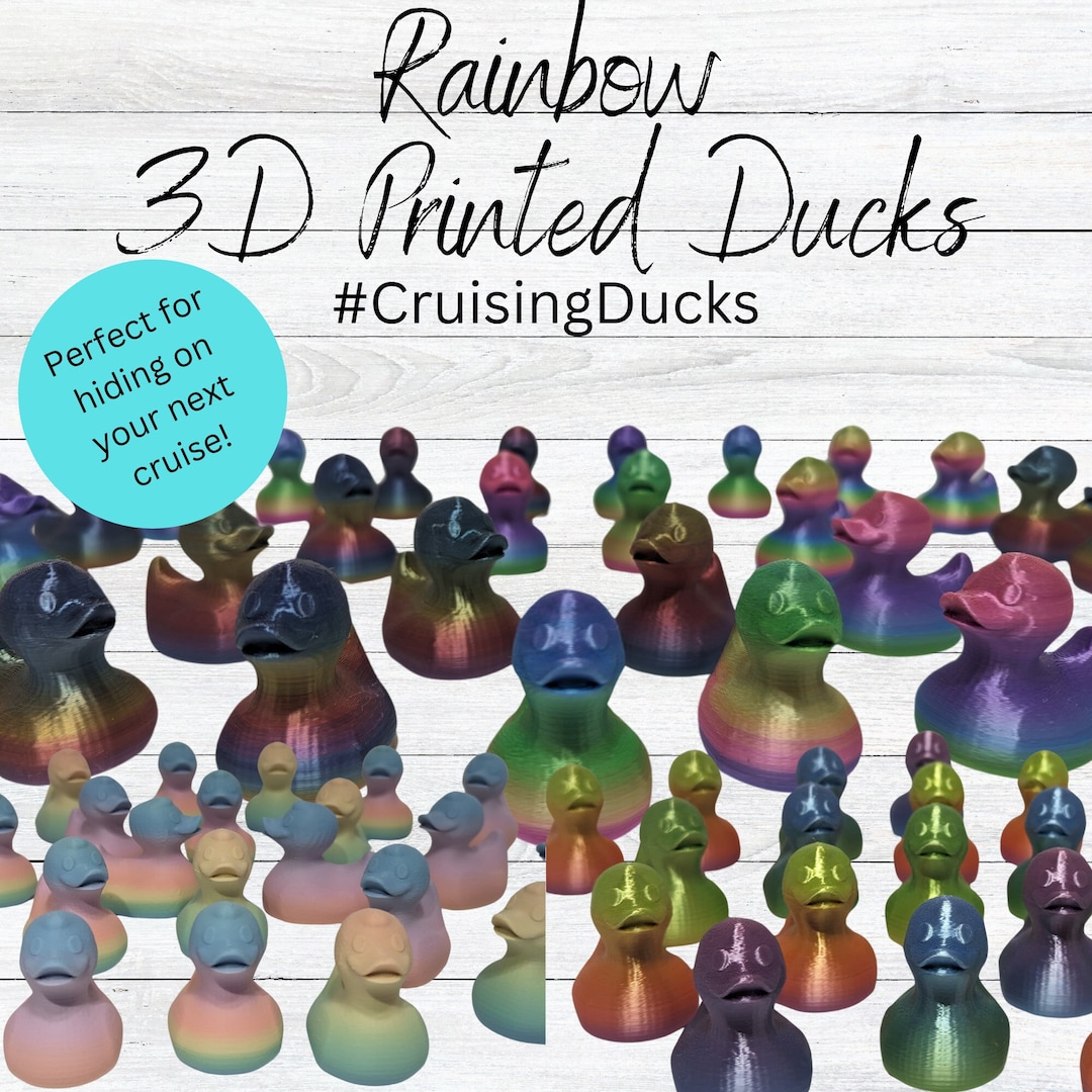 Rainbow Cruising Ducks, 3D Printed Ducks, Rubber Ducks, Cruise Ducks ...