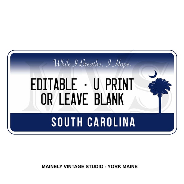 South Carolina License Plate - Etsy