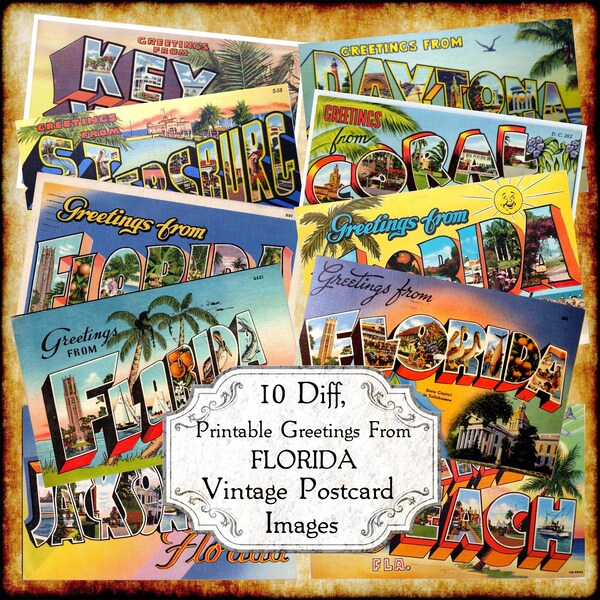 Florida Postcard - Etsy