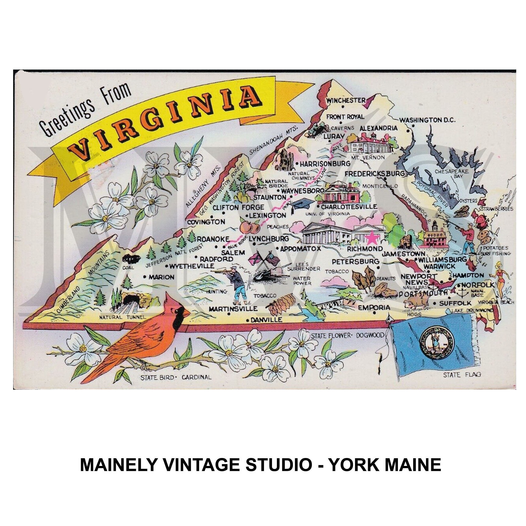 Greetings From Virginia VA Vintage Postcard JPEG Image Set Digital ...