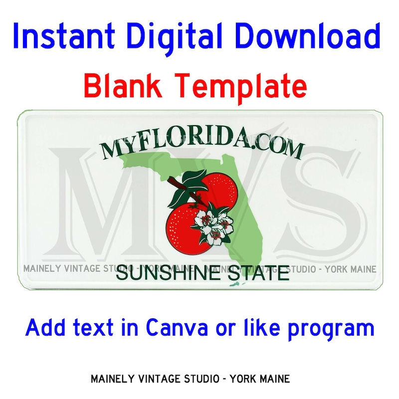 Florida License Plate Art - Etsy