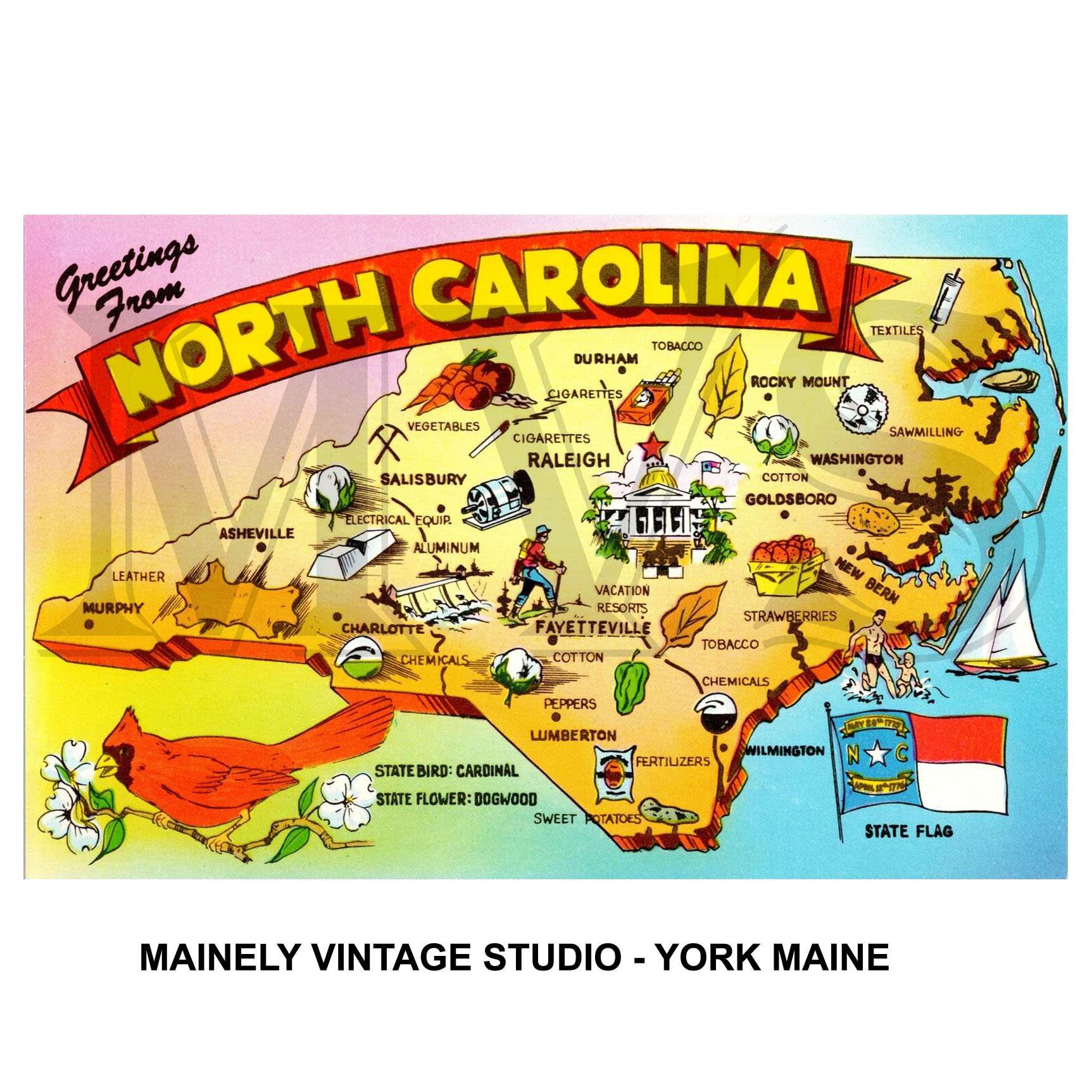 Greetings From North Carolina NC Vintage Postcard Quality - Etsy