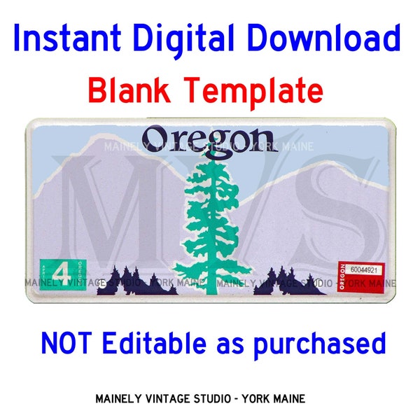 Blank License Plate - Etsy