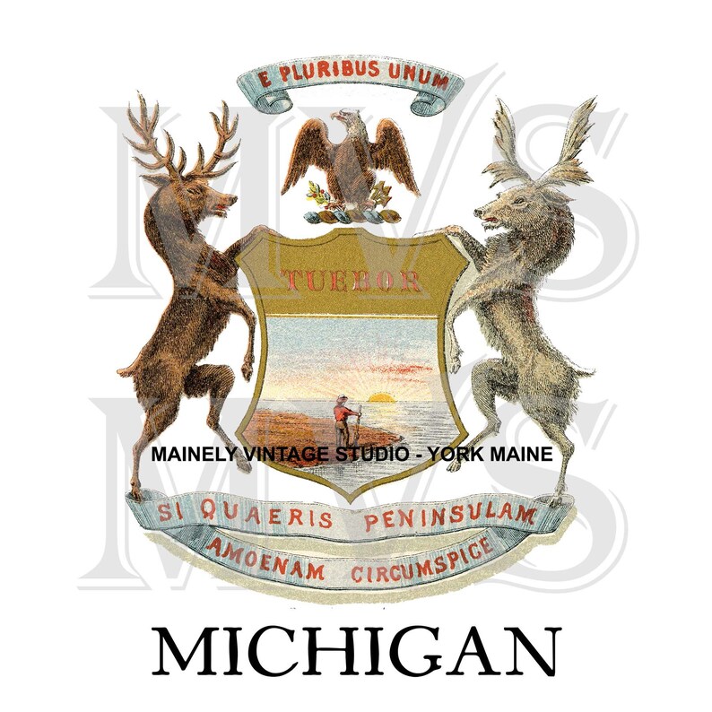 1876 Michigan MI State Seal PNG & JPG Digital Printable Art - Etsy UK