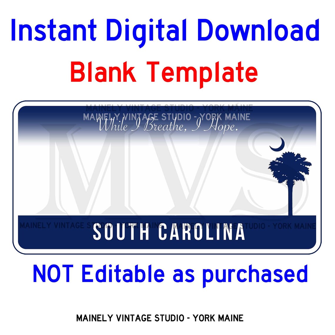 South Carolina SC License Vanity Plate Blank Template - Etsy