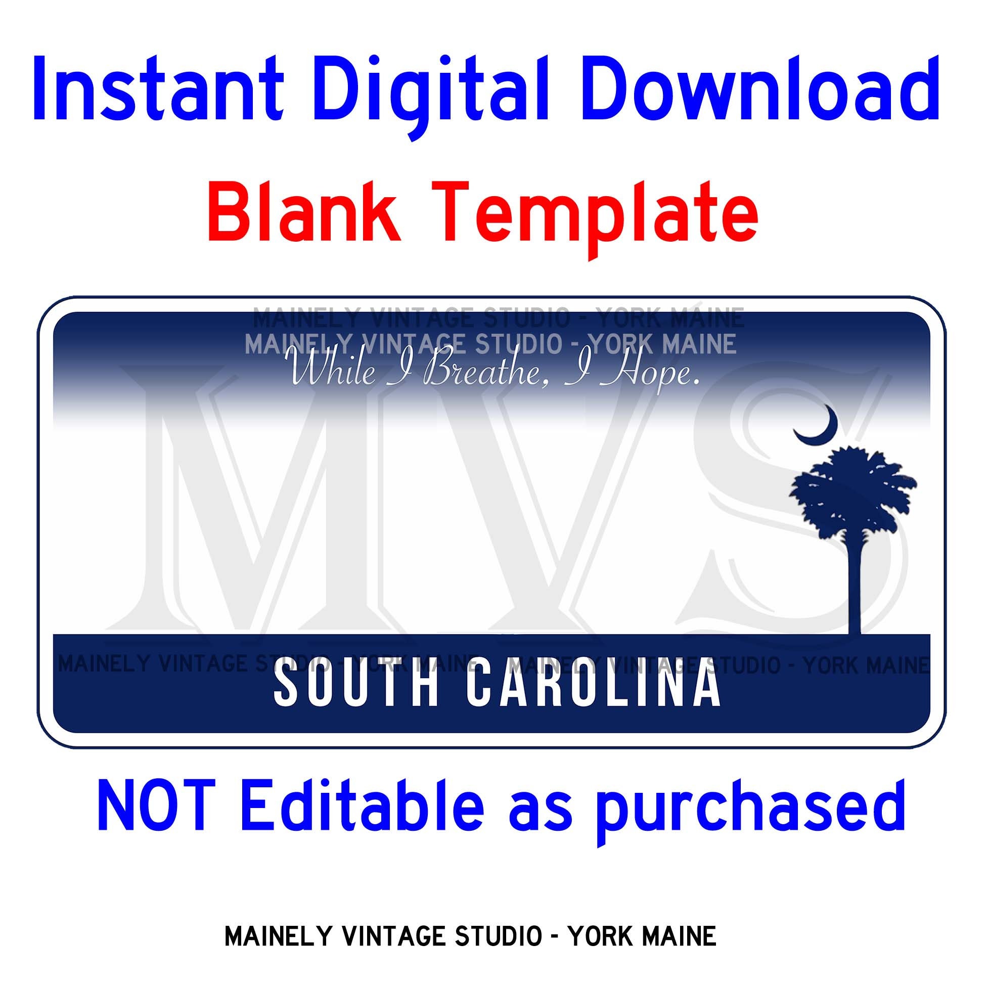 South Carolina SC License Vanity Plate Blank Template - Etsy