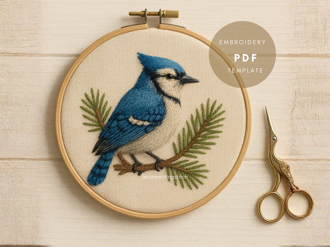 Blue Jay Embroidery Pattern PDF | Bird Embroidery Design | Instant ...
