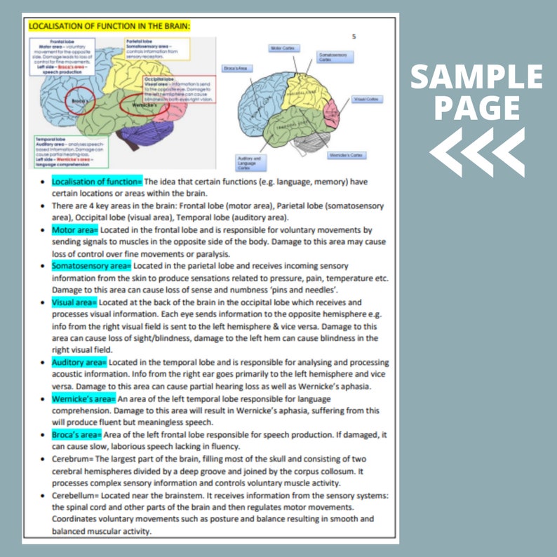 Psychology Revision Notes & Guide - A-level AQA - Etsy