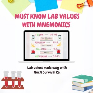 Must Know Lab Values and Mnemonics *nursing Study Sheets* - Etsy