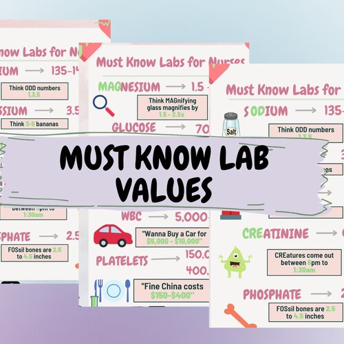 Must Know Lab Values and Mnemonics nursing Study Sheets - Etsy