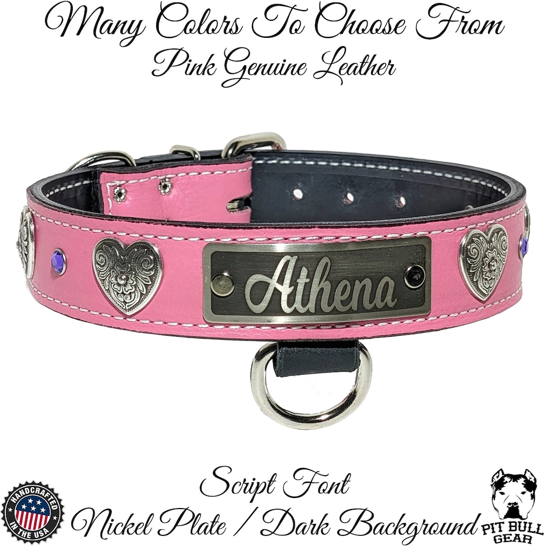 Leather Dog Collar: Personalized Name Plate, Diablo Hearts, Crystal ...