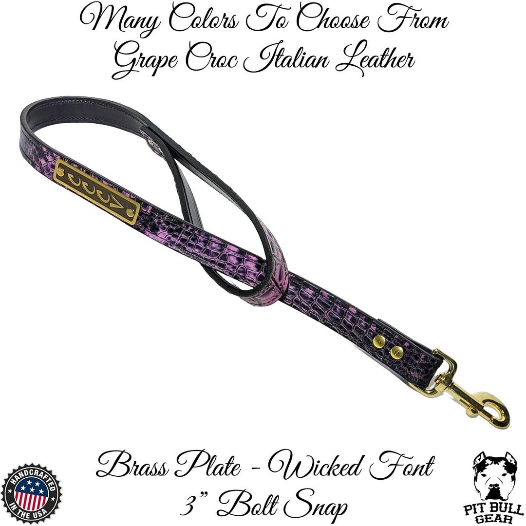Personalized Leather Dog Leash: Engraved Name Plate, Swivel Snap - 1 ...