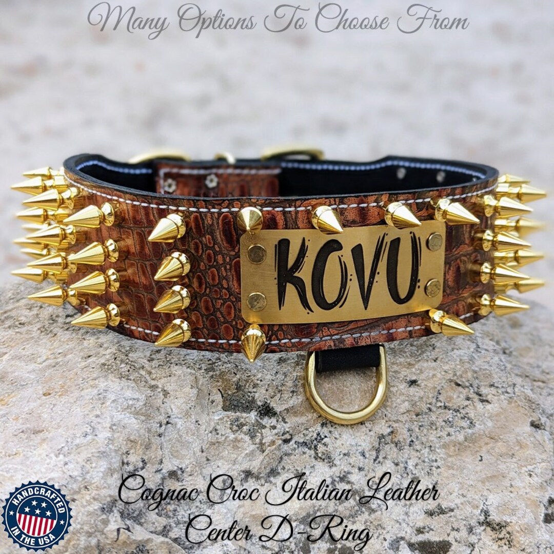 Spiked Leather Dog Collar, Personalized Name Plate Leather Collar, Big ...