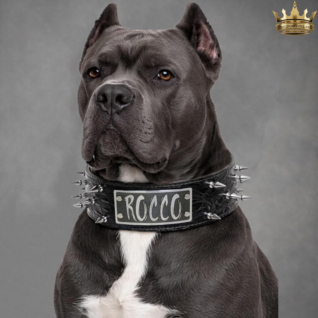 Custom 3” Italian Leather Spiked Dog Collar – 1" Tree Spikes & Name ...