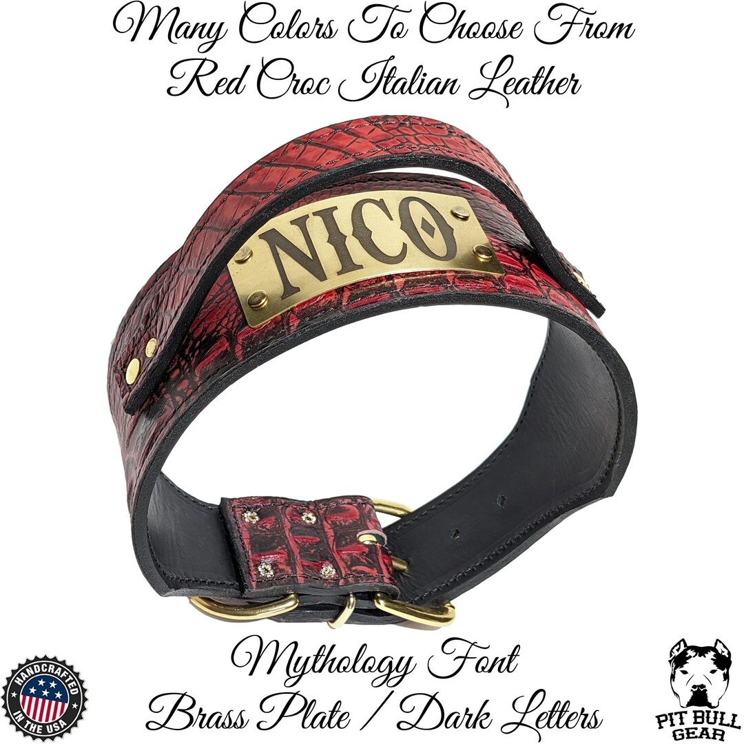 Leather Agitation Dog Collar, Working Dog Collar, Dog Collar With ...