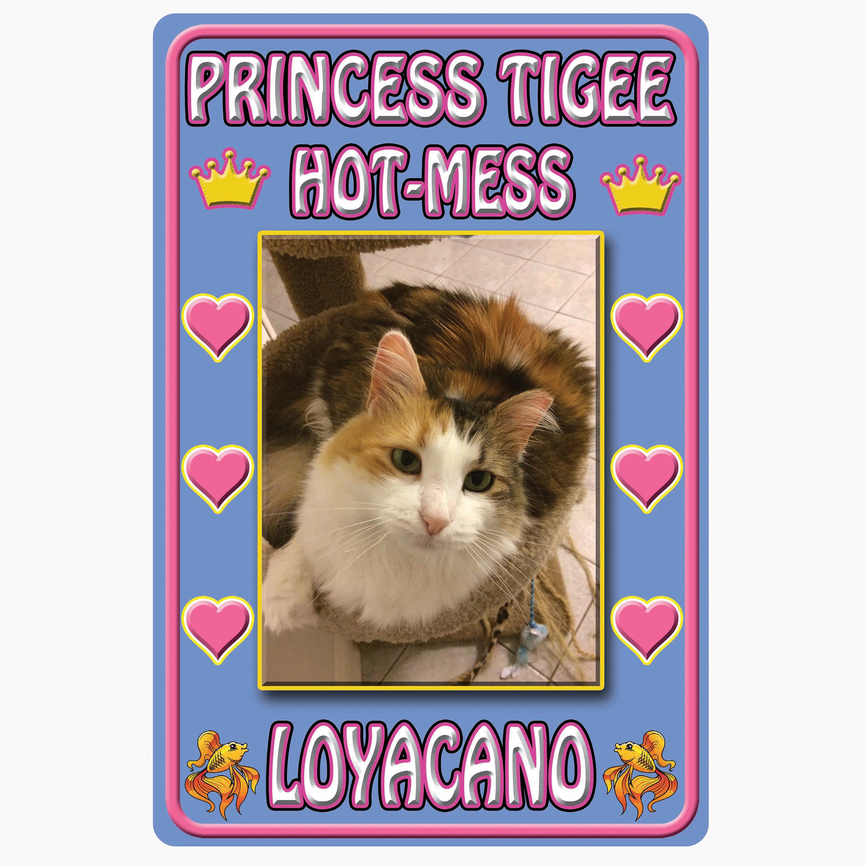 Custom Cat Sign Cat Sign Metal Door Sign - Etsy