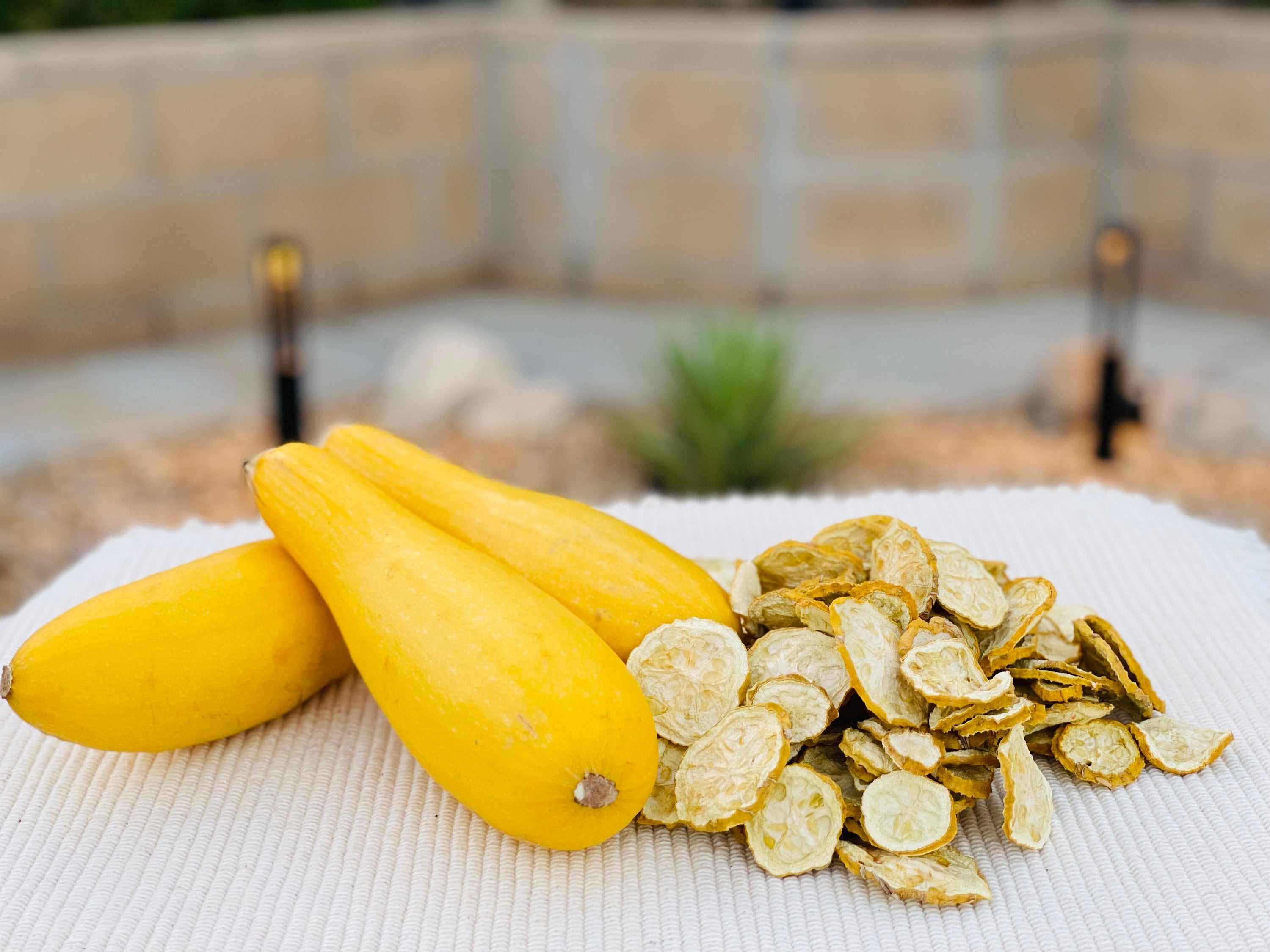 Dehydrated and Sliced Dried Yellow Summer Squash - Etsy