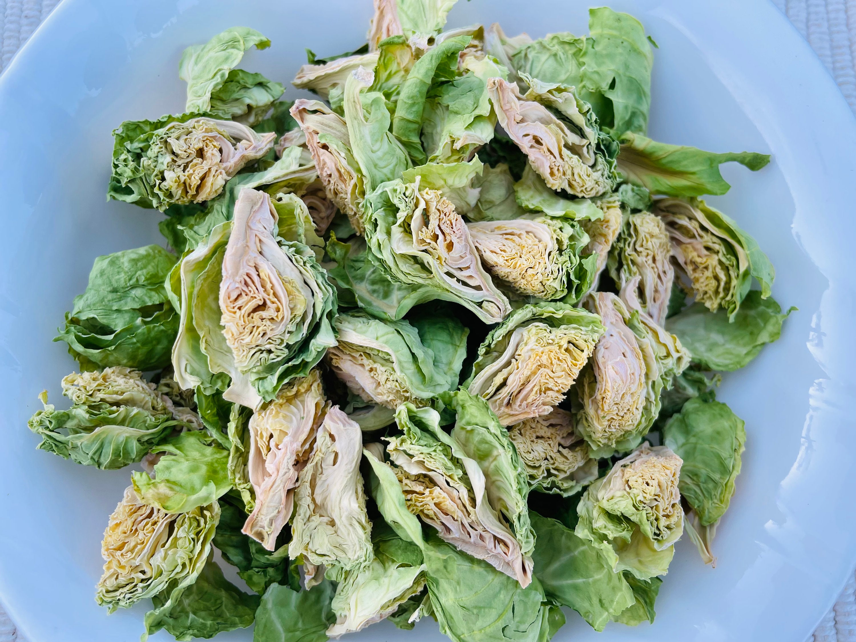 Dehydrated Brussel Sprouts - Etsy