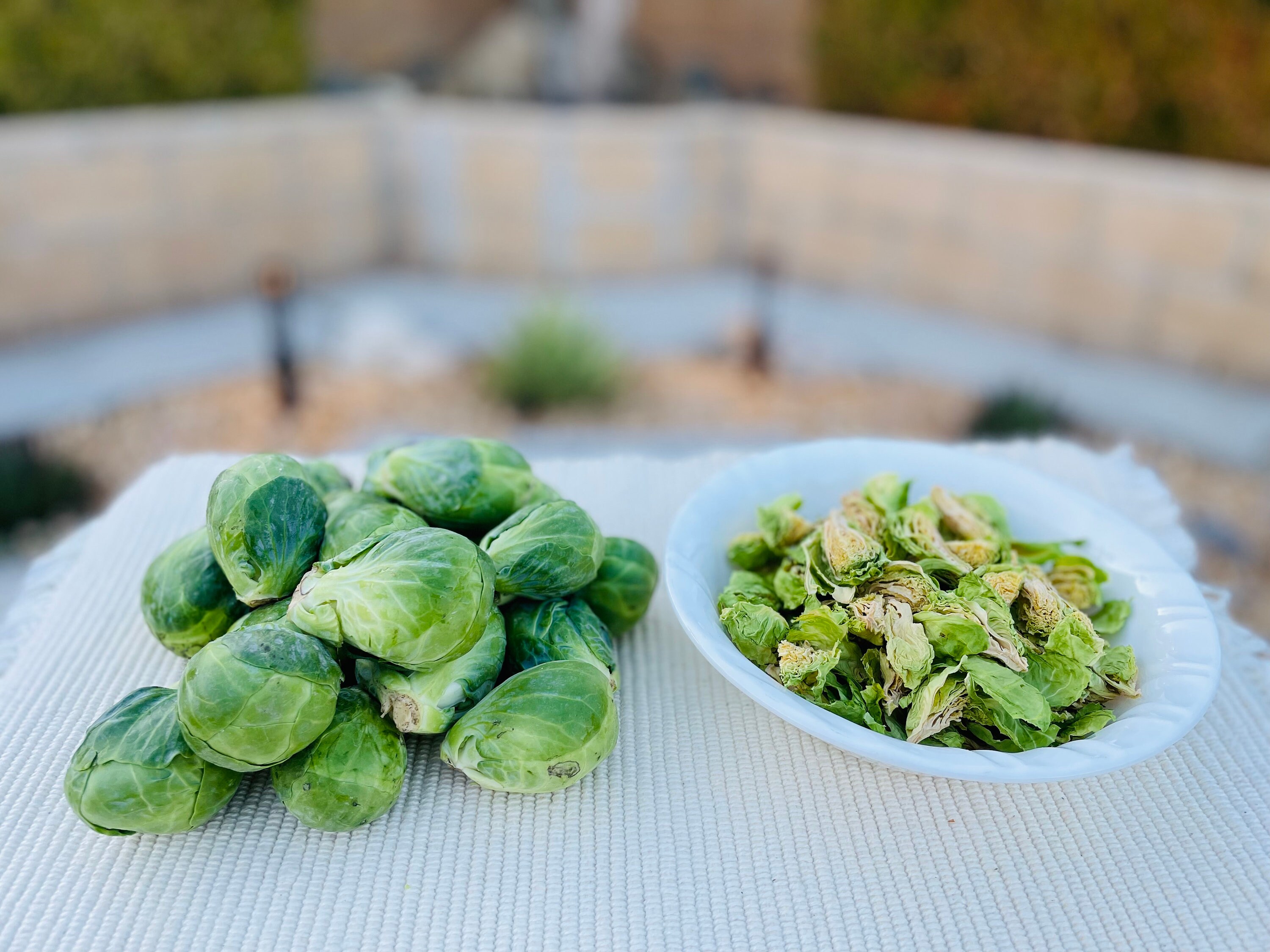 Dehydrated Brussel Sprouts - Etsy