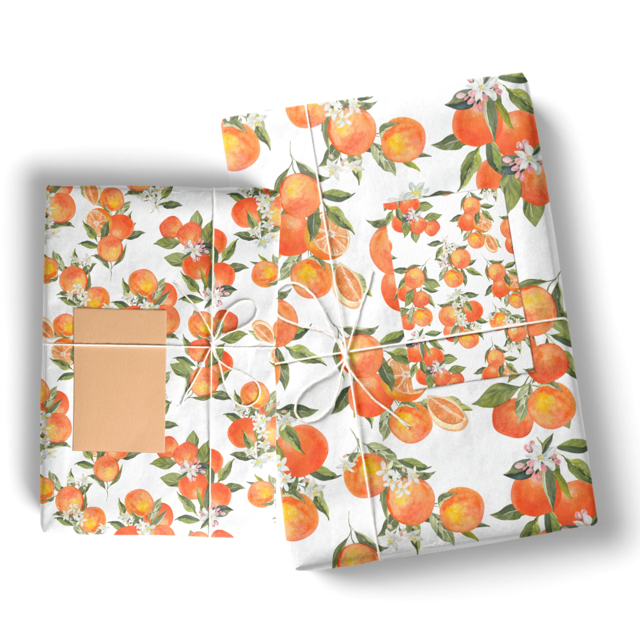Orange Seamless Pattern: Tropical Fruit Digital Paper (PNG) - Etsy