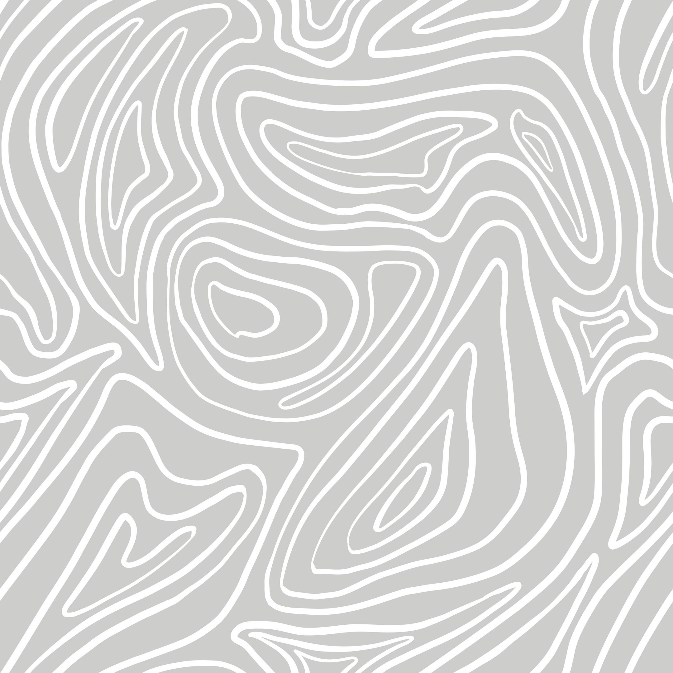 Topography White Seamless Pattern Transparent Map Repeat - Etsy