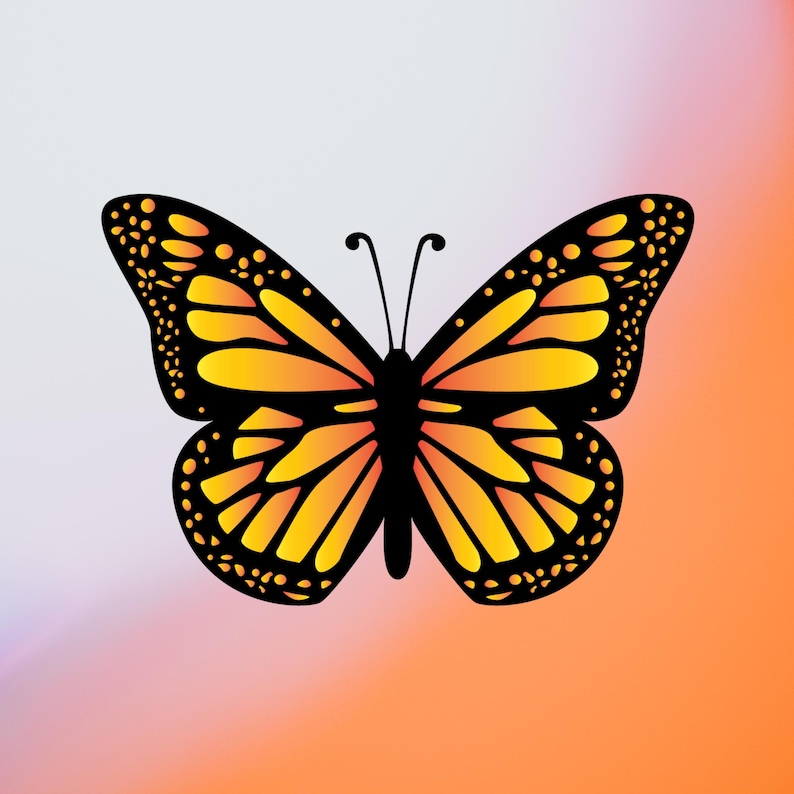 Monarch Butterfly PNG Bundle: 10 Digital Download Vector Graphics - Etsy Australia