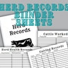 Numbered Calf Record Sheet Calf Planner Cattle Ranch Planner For