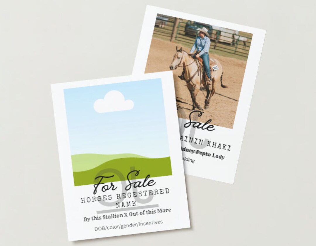 Equine Sale Flyer. for Sale. Advertisement. Add Your Own Details. - Etsy