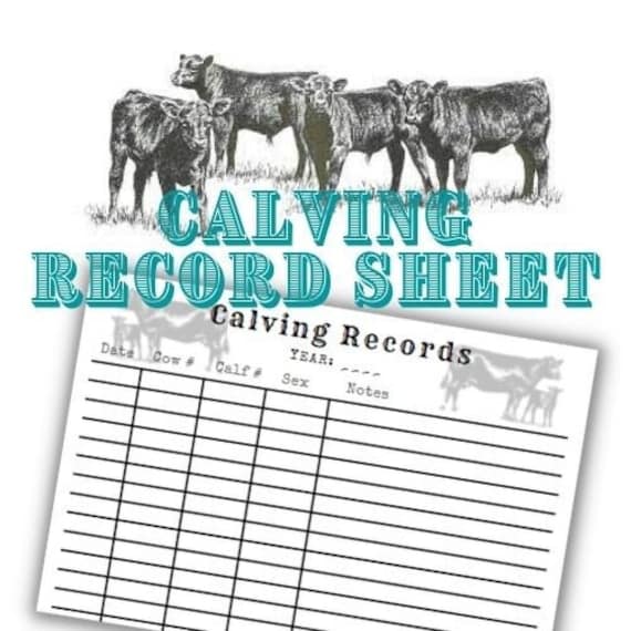 Calving Record Sheet. Calf Planner. Cattle Ranch. Planner for | Etsy