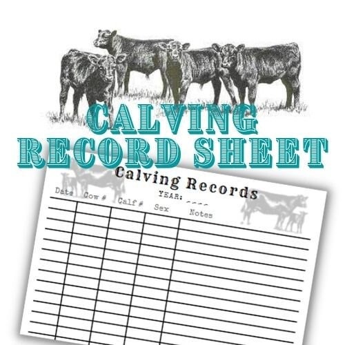 Calving Record Sheet. Calf Planner. Cattle Ranch. Planner for | Etsy