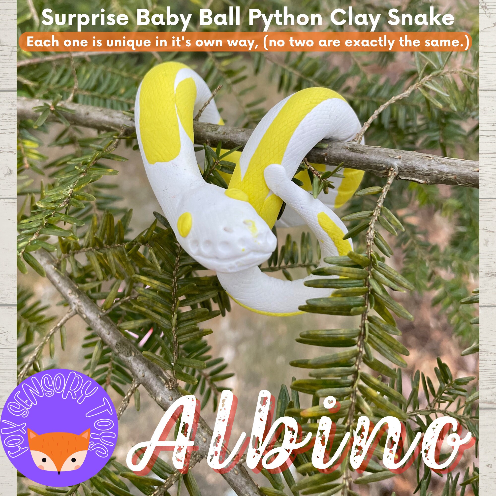 Ball Python Albino Snake Clay Fidget Sensory Toy, Pot Buddy,textured ...