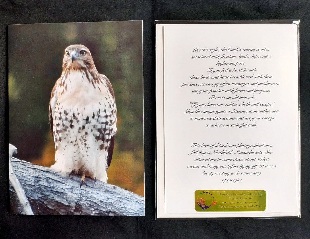 Red Tailed Hawk Photo Print 5 X 7 Frameable Card Energy for Higher ...