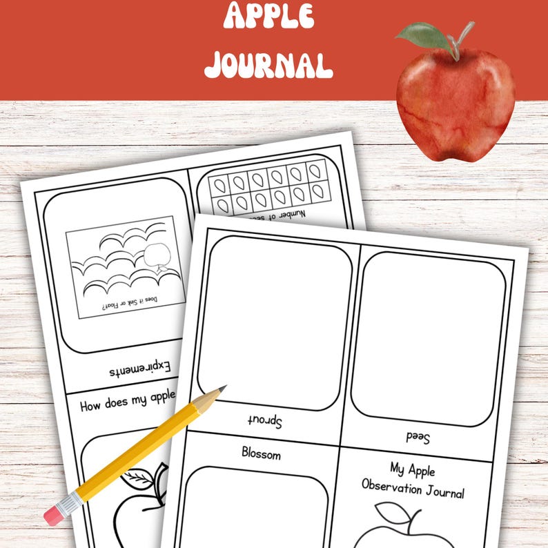 Apple Life Cycle Activity Pack | Apple Unit | Preschool & Kindergarten ...