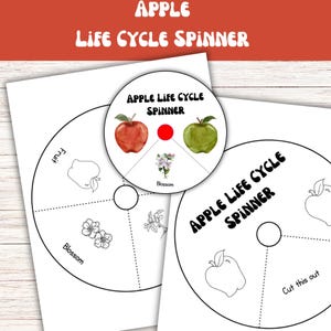 Apple Life Cycle Activity Pack | Apple Unit | Preschool & Kindergarten ...
