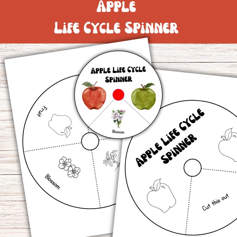 Apple Life Cycle Activity Pack | Apple Unit | Preschool & Kindergarten ...