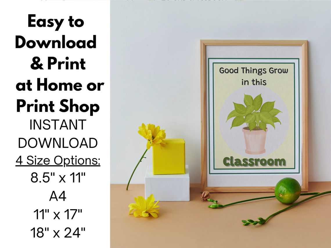 Plant Theme Classroom Posters, Kindergarten, Preschool, Elementary ...