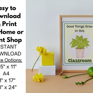 Plant Theme Classroom Posters, Kindergarten, Preschool, Elementary ...