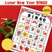 Lunar New Year BINGO Game for Kids and Adults, Family Activity, Holiday ...