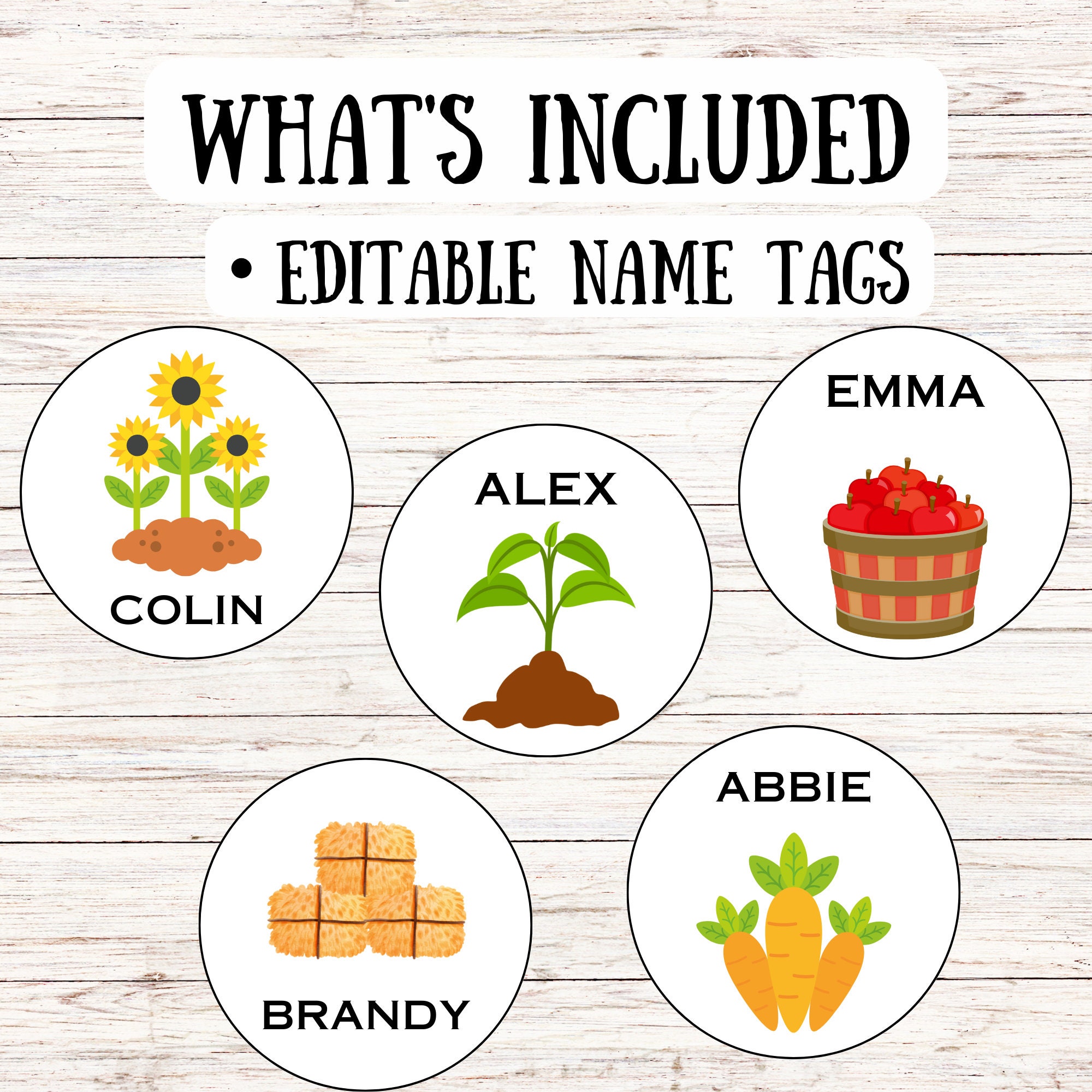 Down on the Farm Bulletin Board Kit | Back to School Bulletin Board ...