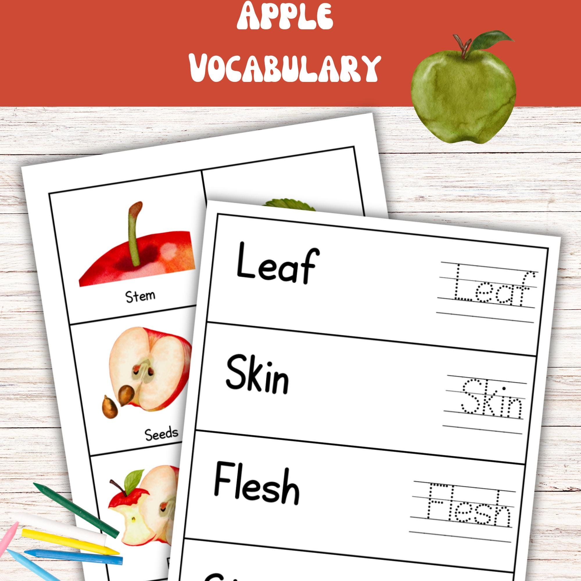 Apple Life Cycle Activity Pack | Apple Unit | Preschool & Kindergarten ...