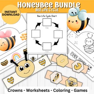 Life Cycle of a Crown - Etsy