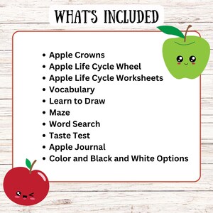 Apple Life Cycle Activity Pack | Apple Unit | Preschool & Kindergarten ...