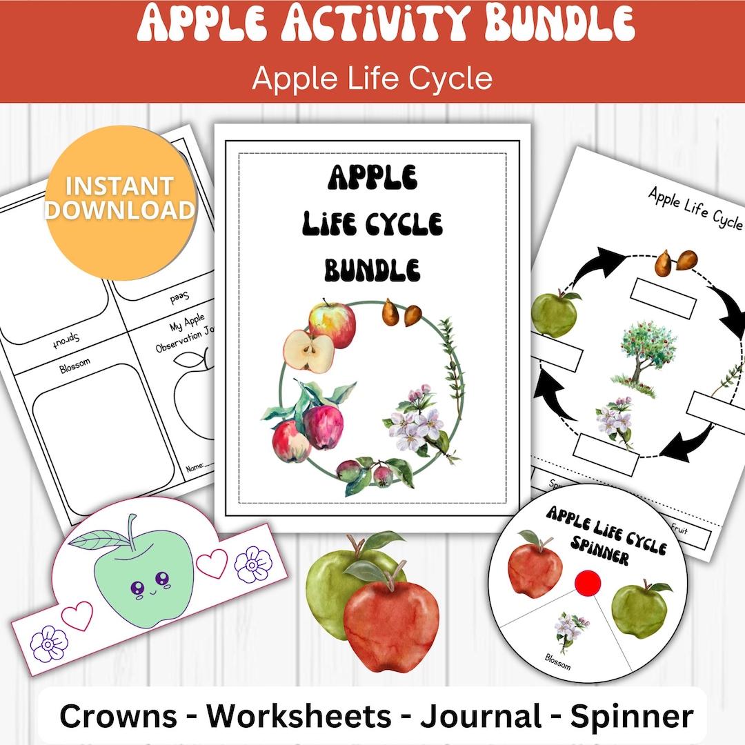 Apple Life Cycle Activity Pack | Apple Unit | Preschool & Kindergarten ...