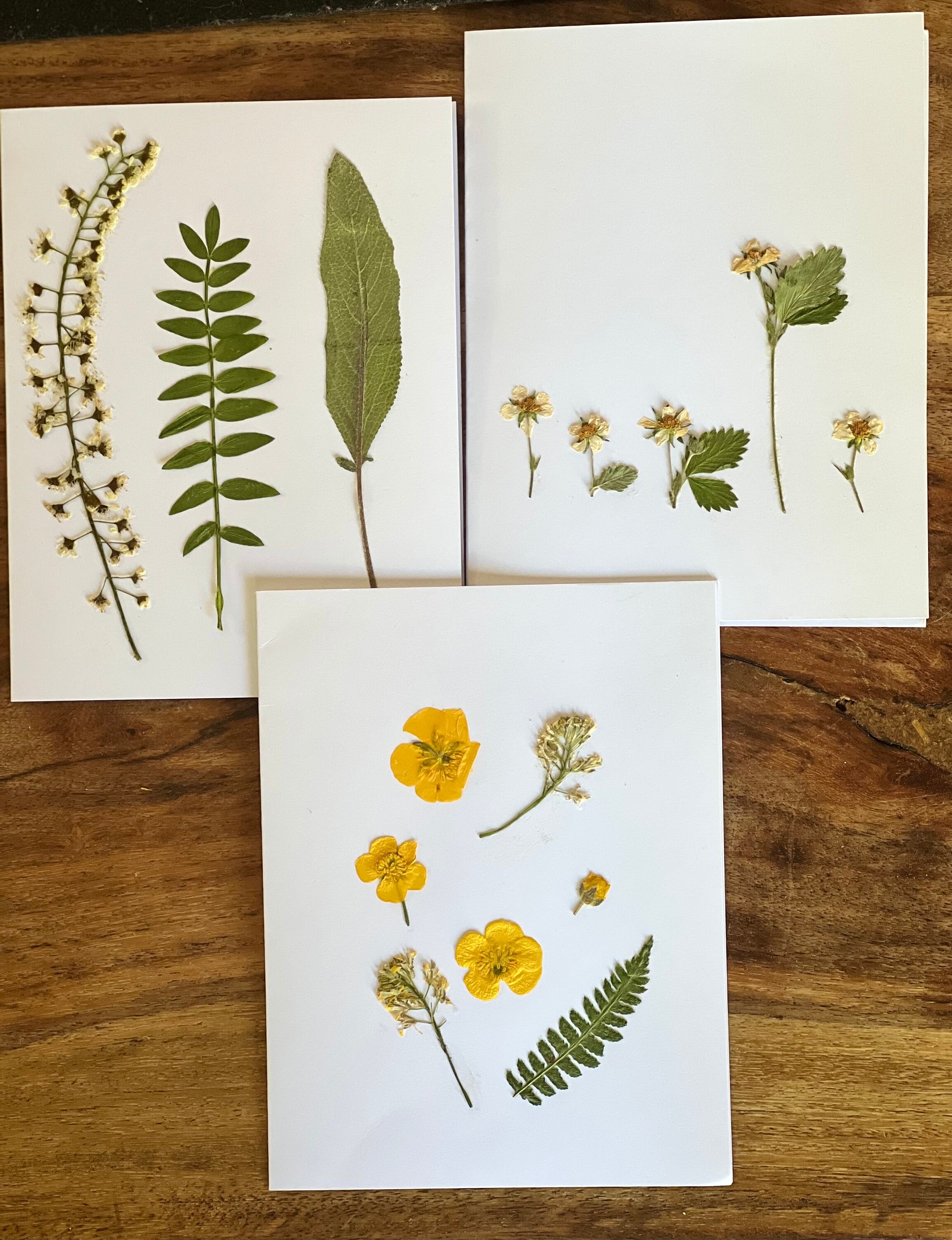 Pressed Flower Cards - Etsy